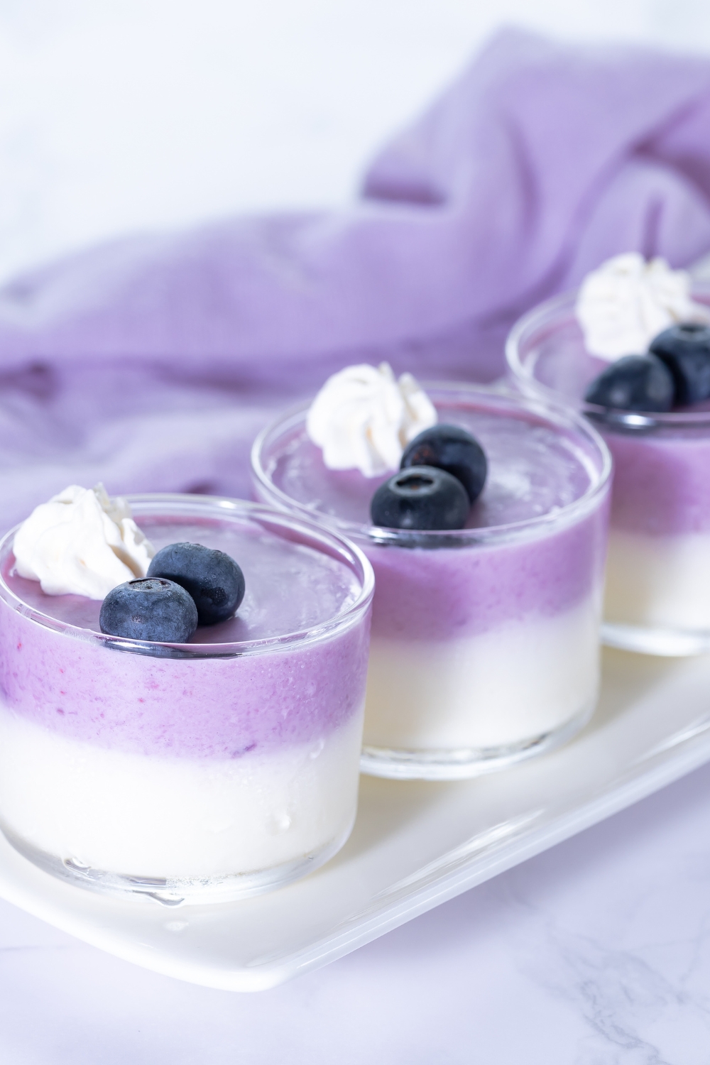 Blueberry Mousse Recipe - Fruity Desserts