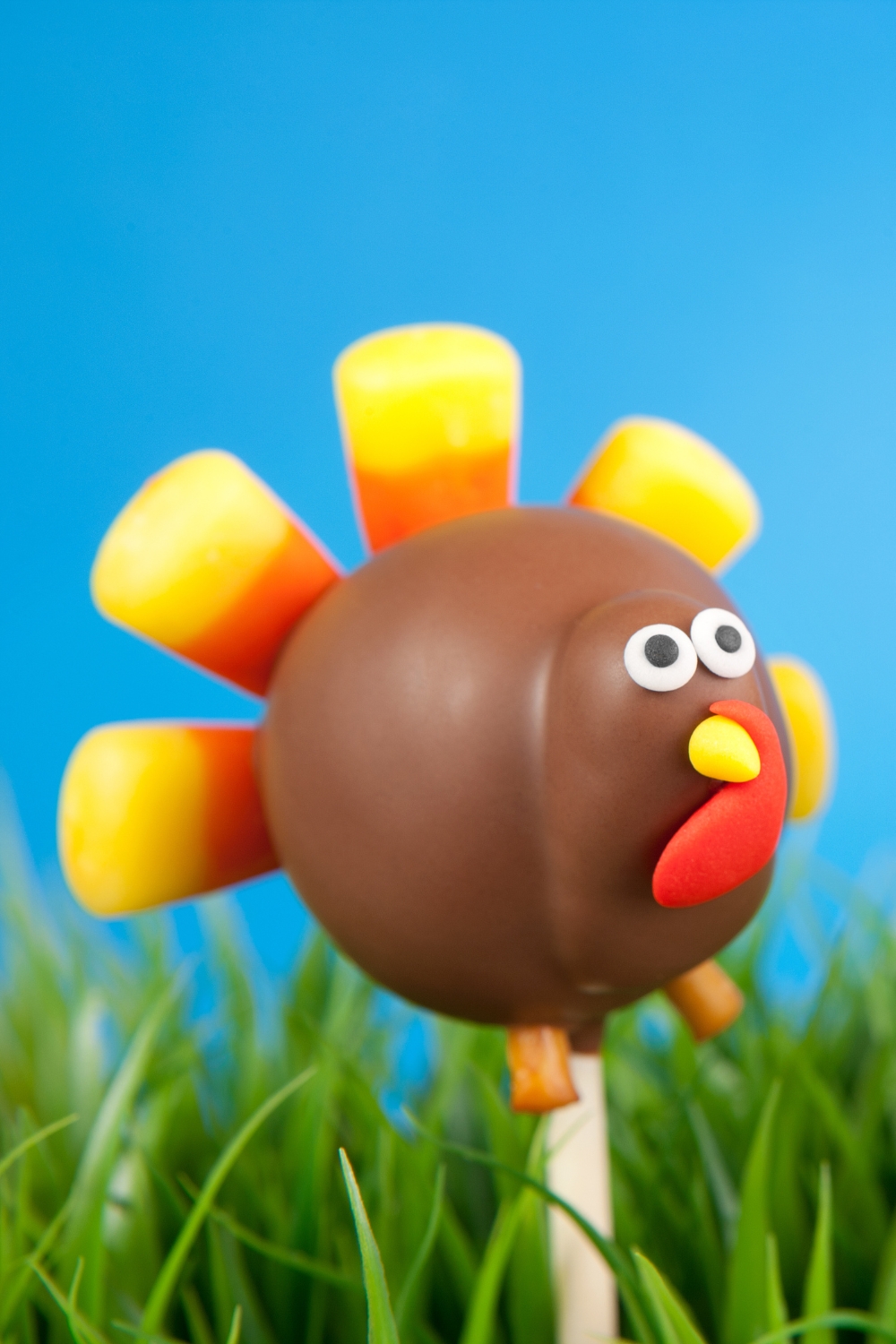 Thanksgiving Cake Pops - Fruity Desserts
