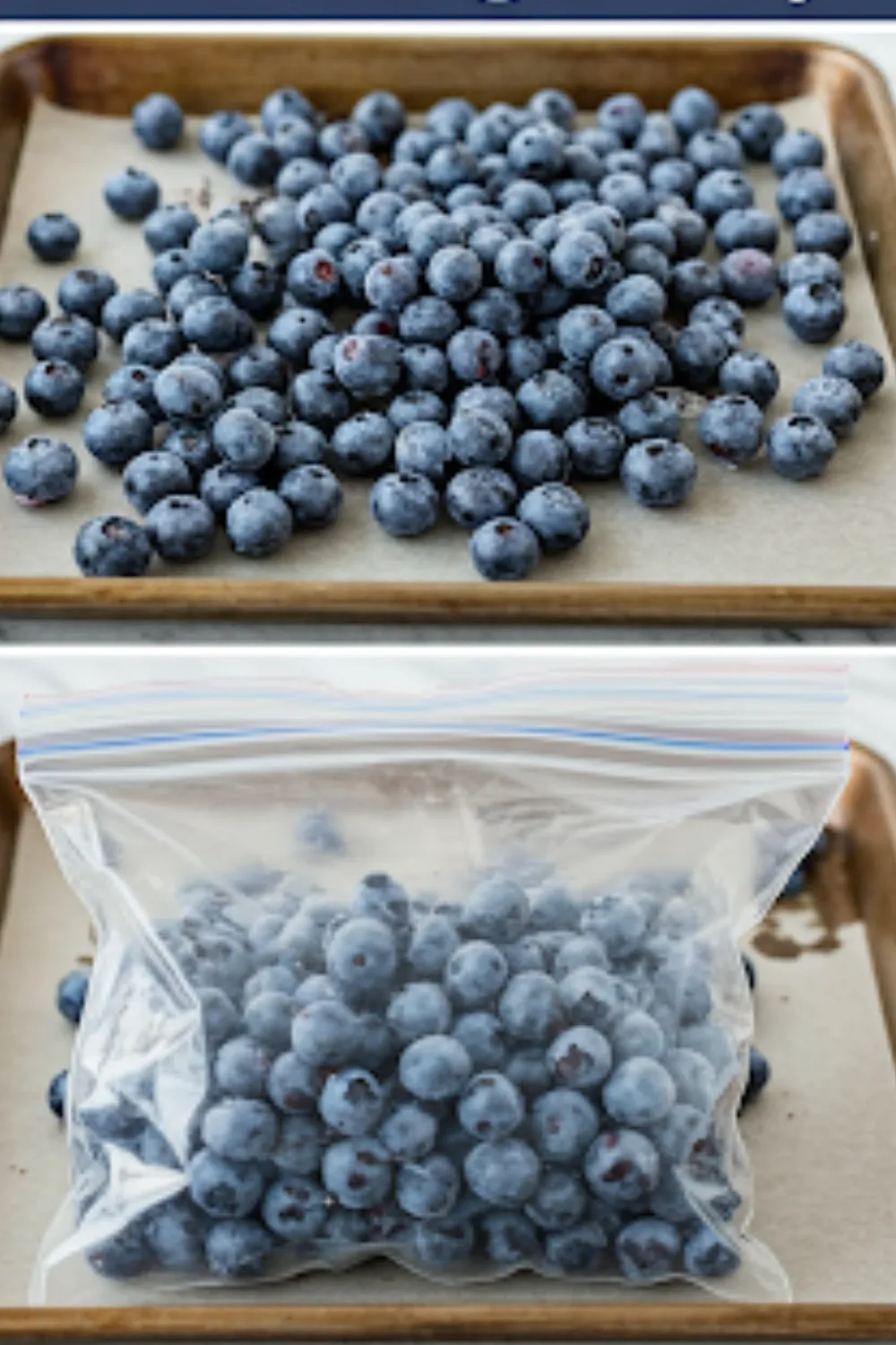 How to Freeze Blueberries the Right Way - Fruity Desserts